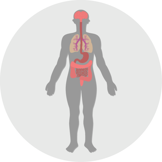 Health Care Directive - Living Will Form (US) - LegalContracts